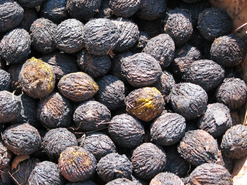 Get Crackin’ – Lee Reich