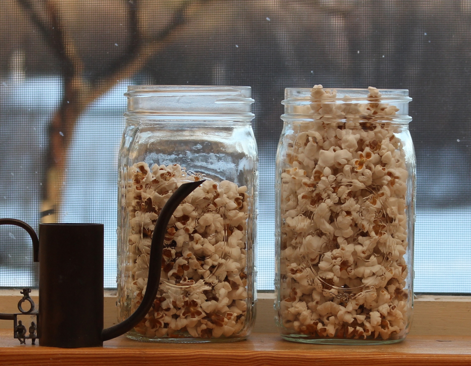 HOME GROWN GRAIN & GRAIN-ISH – Lee Reich