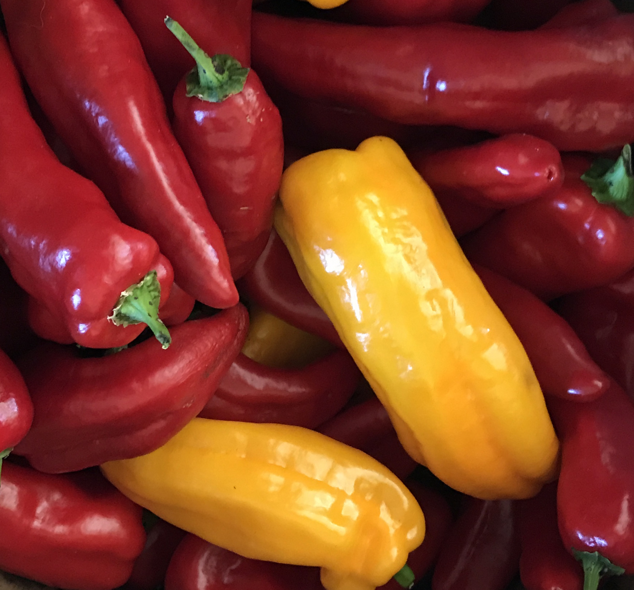 Some Good, Some Bad – Lee Reich