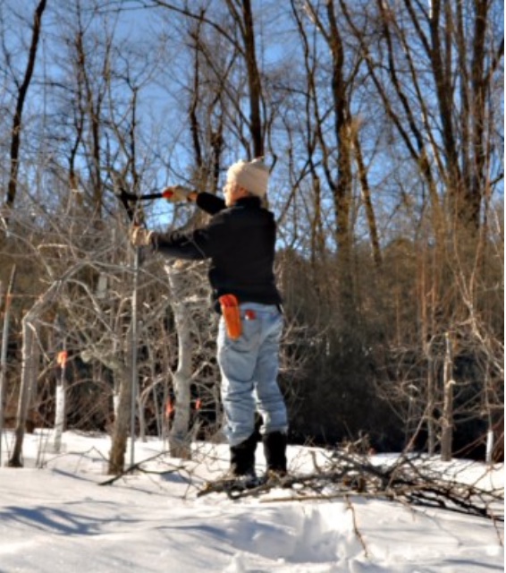 TELLING SNOW – Lee Reich