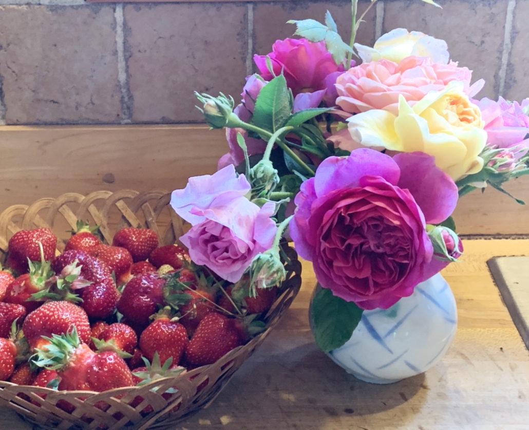 ROSES AND STRAWBERRIES AND — OH NO! — HONEYBERRIES – Lee Reich
