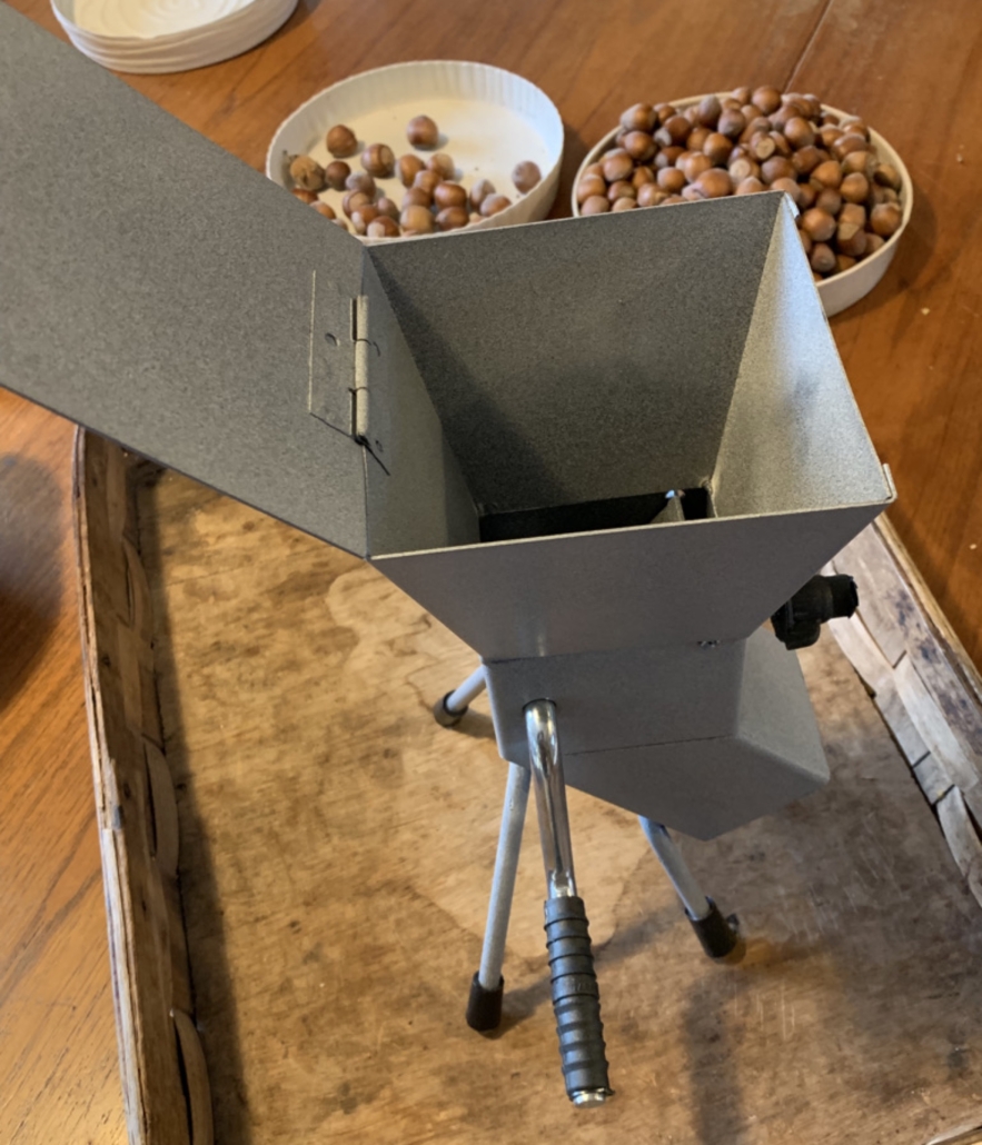 FILBERT NUTS OR HAZELNUTS? – Lee Reich