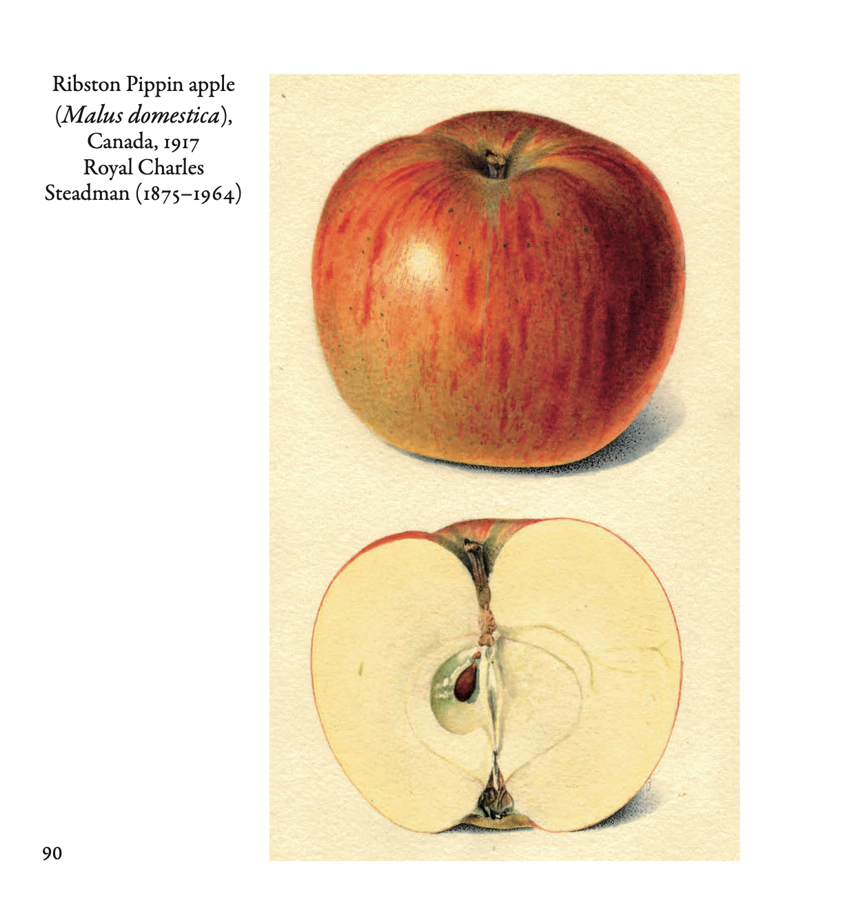 MY NEW BOOK IS OUT!! – Lee Reich