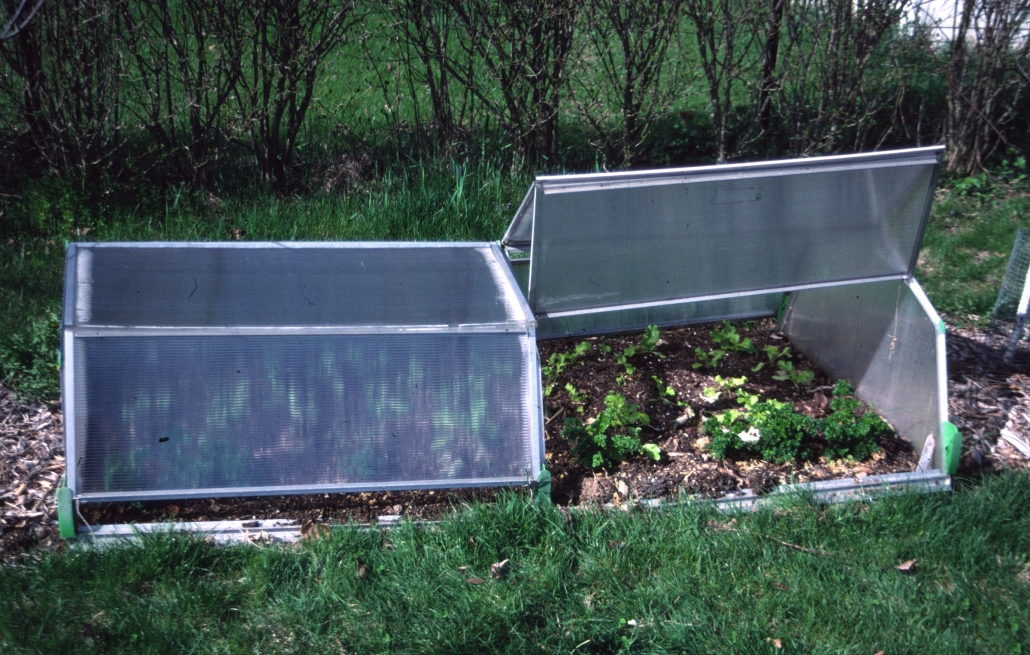 A COLDFRAME IS WARM, UNLESS IT’S… – Lee Reich