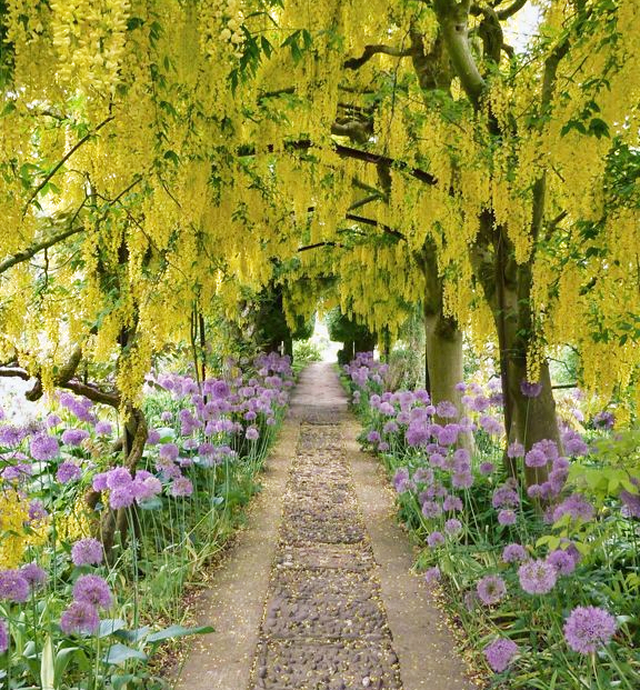 FERTILIZER GIVEAWAY – Lee Reich