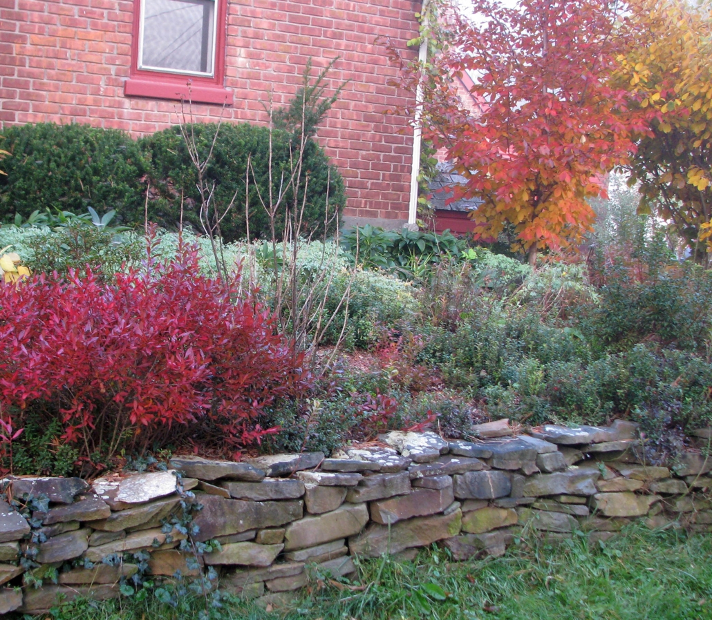 A SLIPPERY SLOPE – Lee Reich