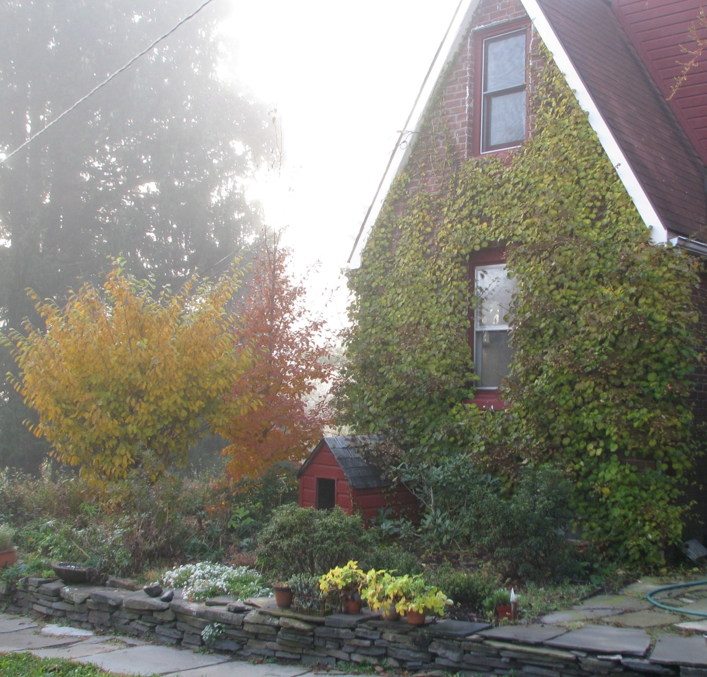 A SLIPPERY SLOPE – Lee Reich