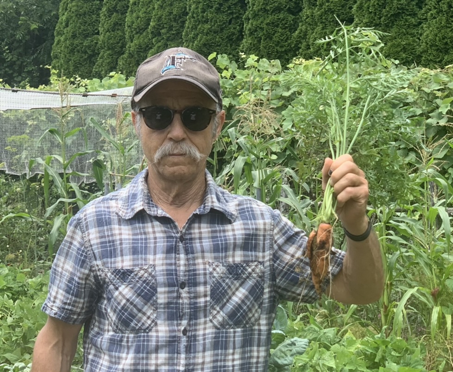 CARROTS, YUK! – Lee Reich