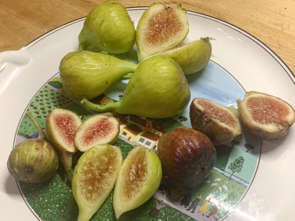 INTERMENT, BUT NOT DEATH – Lee Reich