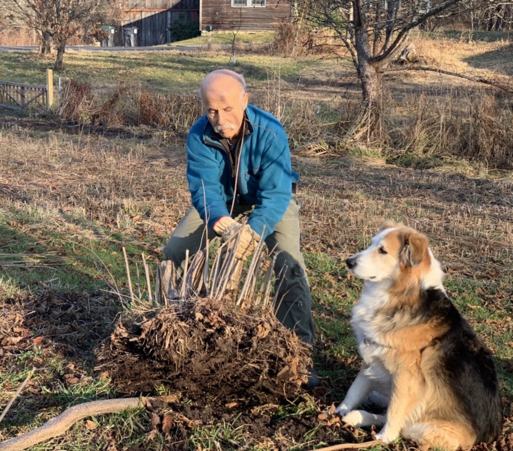 MICROFORESTRY – Lee Reich