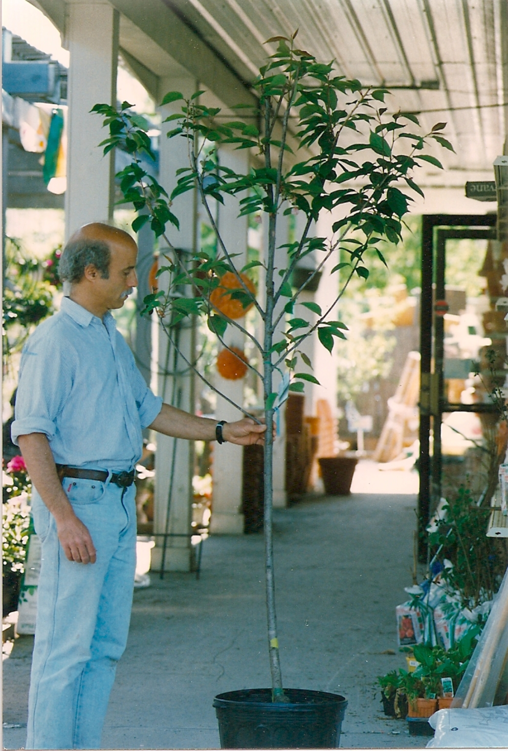 Blog – Lee Reich