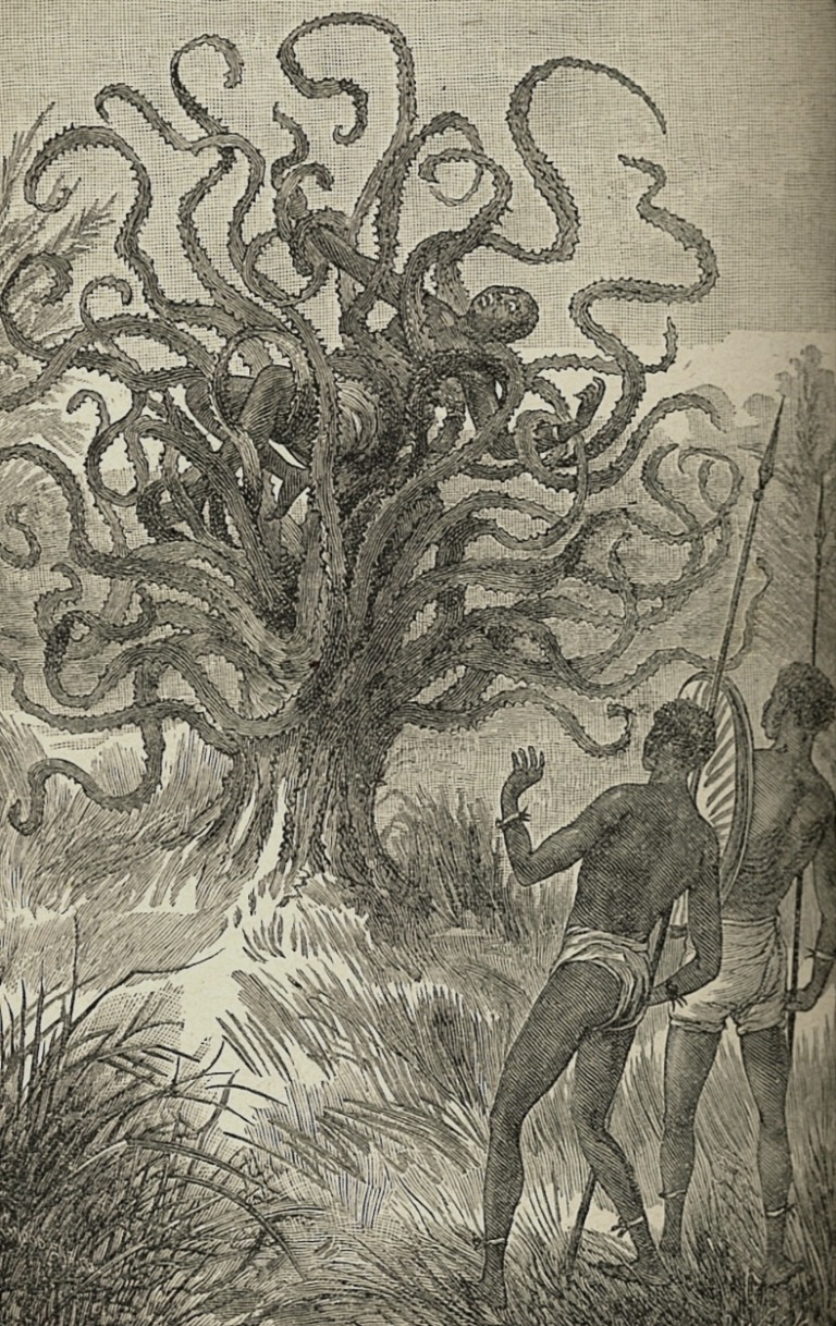 JUMANGI!!! – Lee Reich