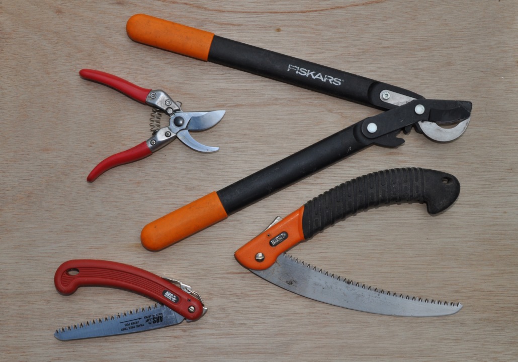 TEN ESSENTIAL PRUNING TIPS – Lee Reich