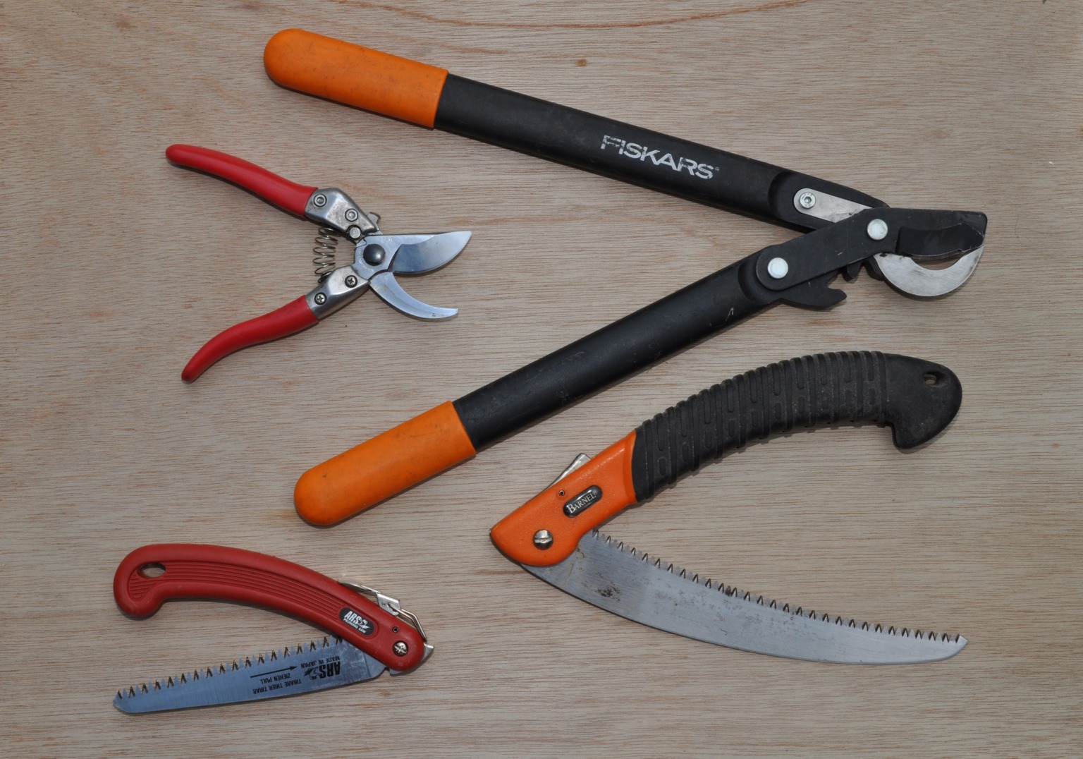TEN ESSENTIAL PRUNING TIPS – Lee Reich